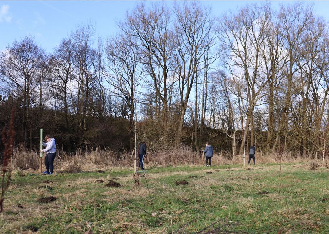 RecycleIT is supporting Sustainable Development Goal 15: Life on Land ...