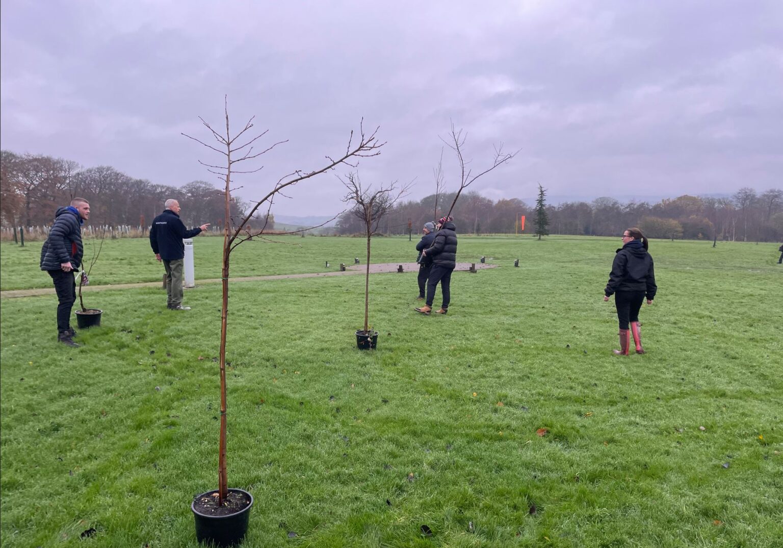 RecycleIT Staff & Local Charity Come Together in Carbon Offsetting ...